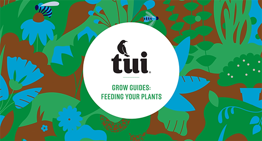 Tui Grow Guides - Feeding your plants