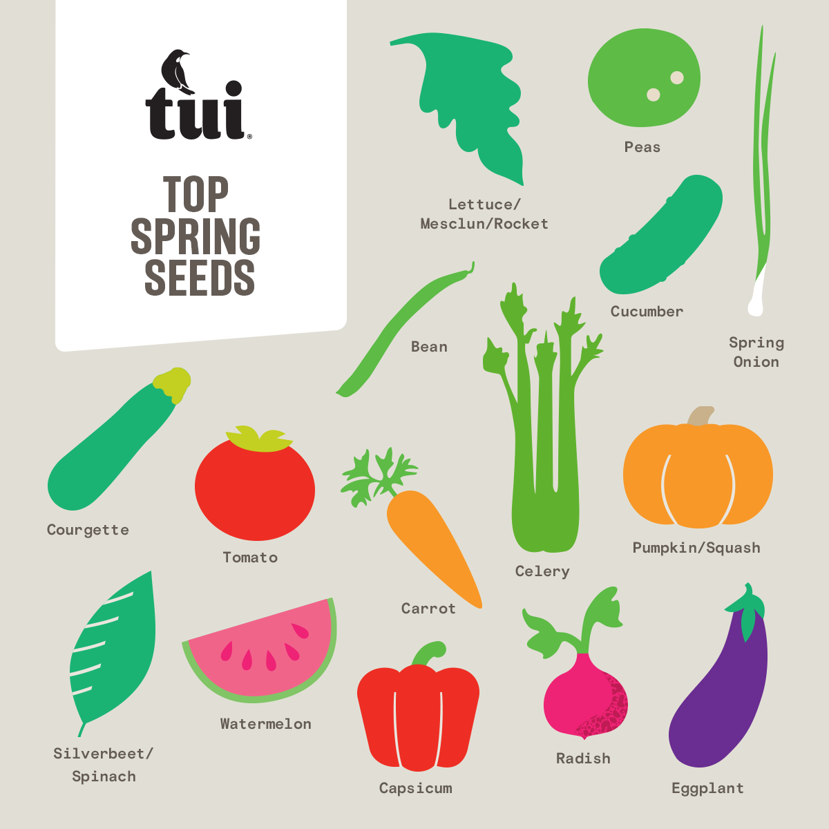 Spring Seed Sowing Guide