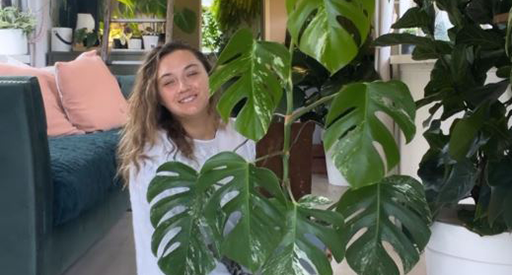 Spring indoor plant care